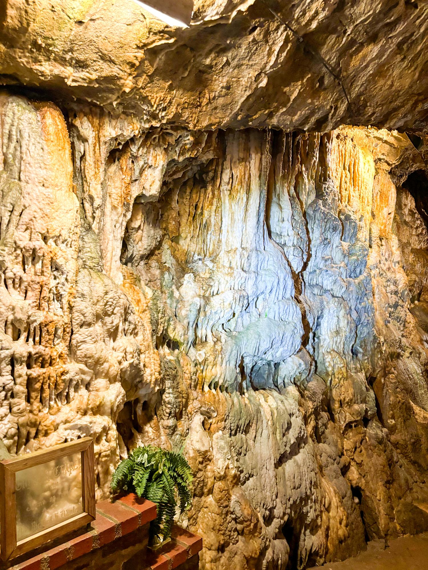 Beware, claustrophobes – The Lafayette